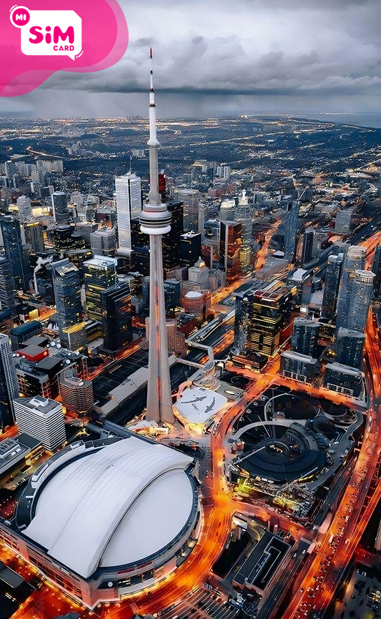 Chip SIM Card – MiSimCard eSIM Internacional Chip SIM Card